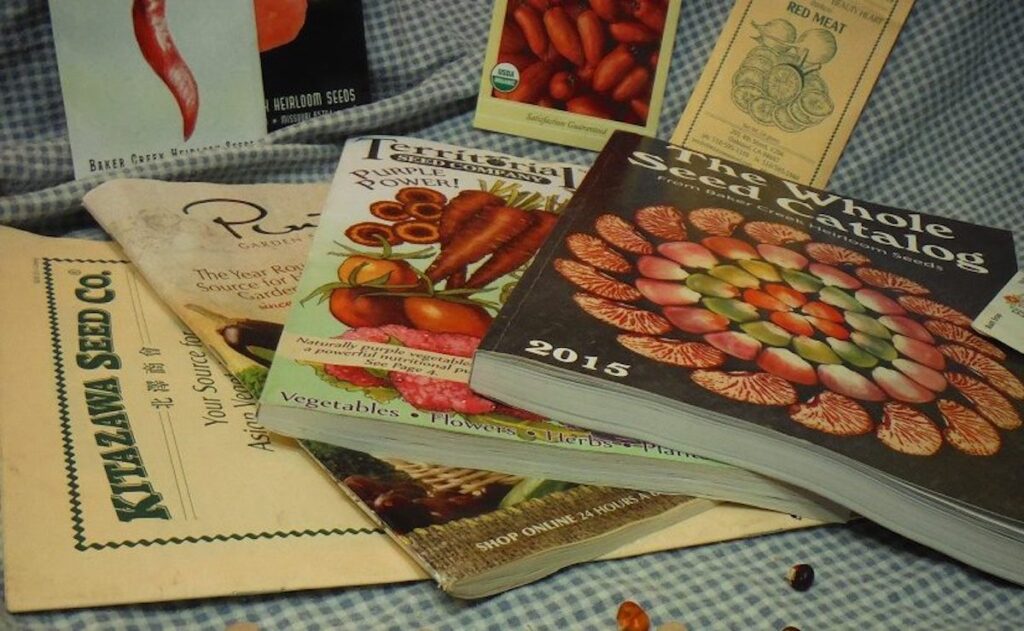 Decoding Catalogs from Top Seed Companies - Countryside